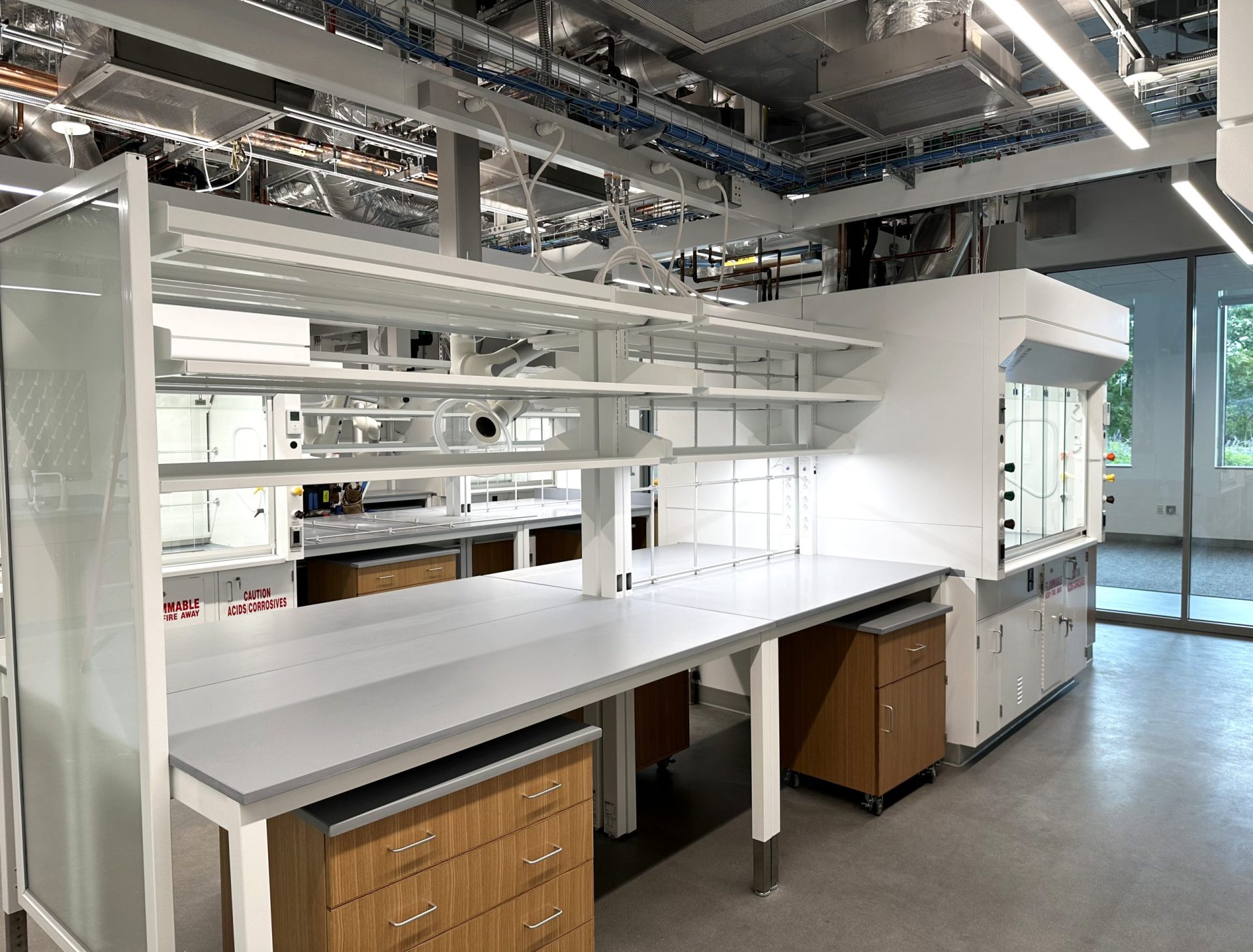 Rice University | Mott